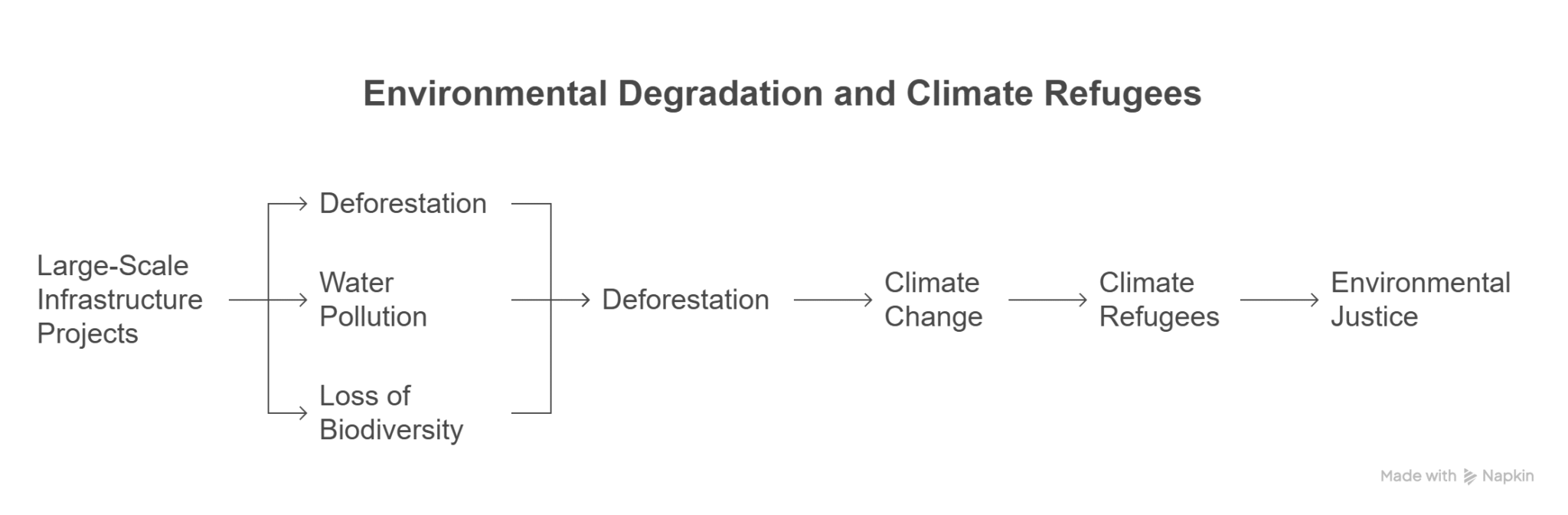 Development, Displacement, Relocation & Environment Problem