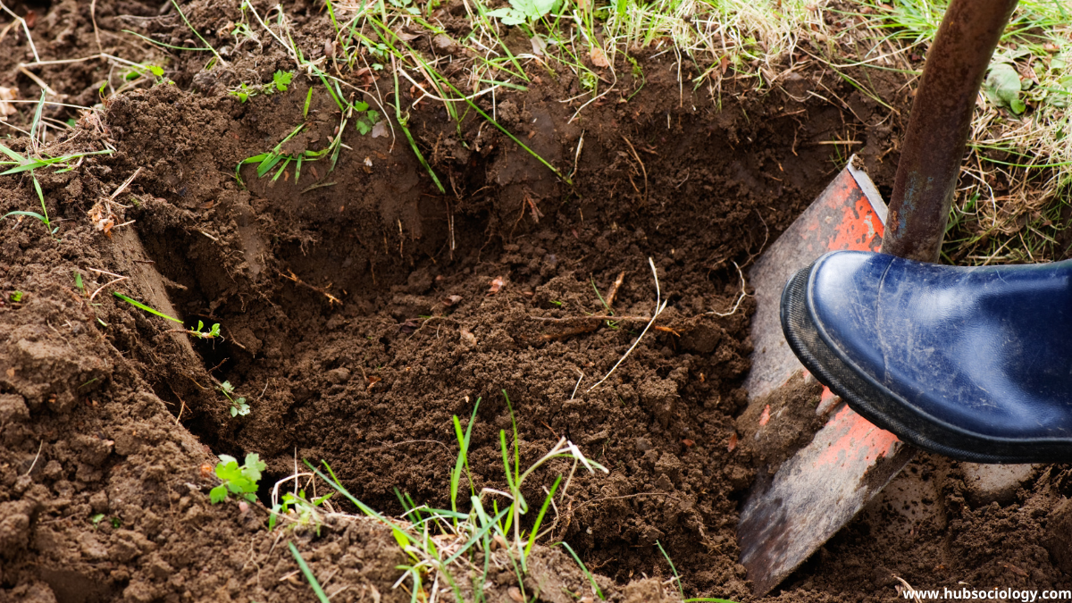 How MGNREGA is Changing the Rural Social Structure