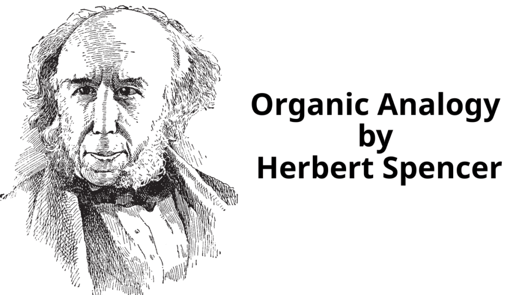 Organic Analogy by Herbert Spencer & 30 Important Question